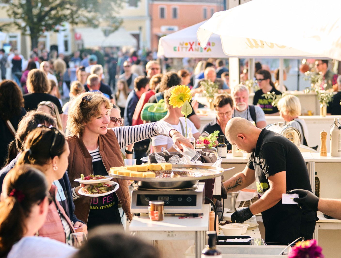 Events in Novigrad - Die besten Events und Festivals