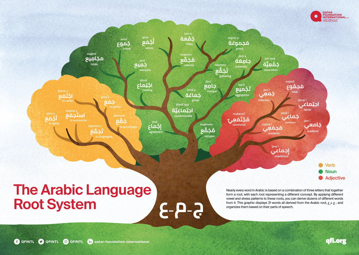 The Arabic Language Root System