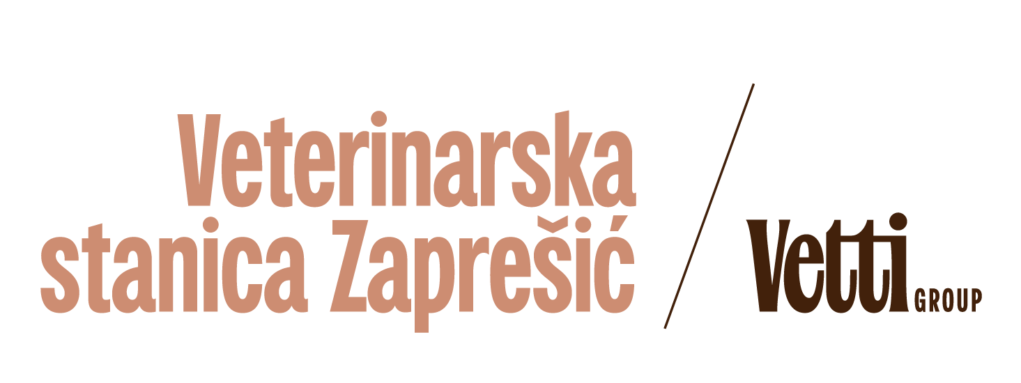 Home [www.vetti-group.hr]